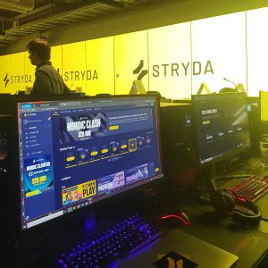 New vision: Stryda AI videos and social platform – Ida Mannerstål